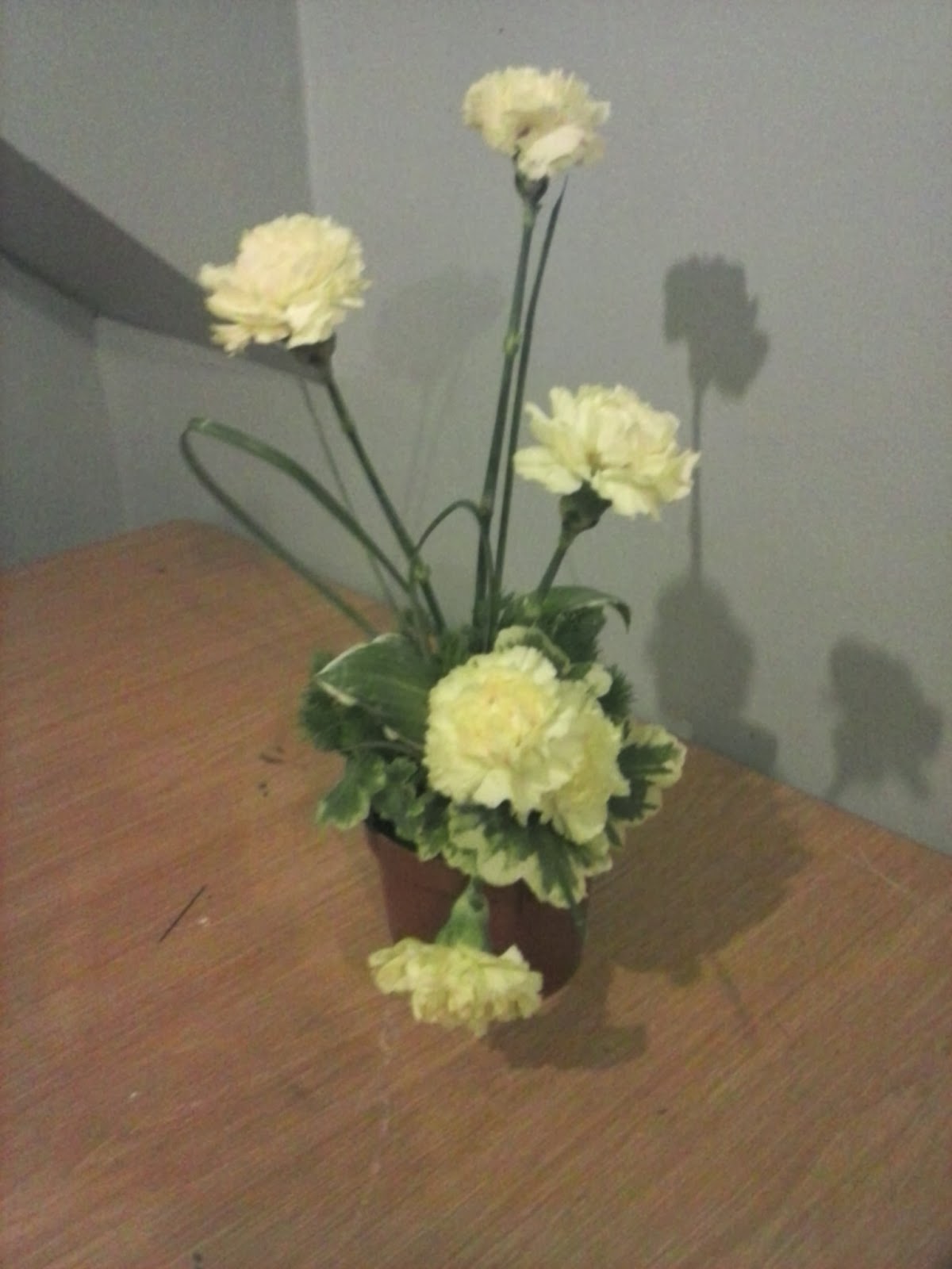 Phaze Animations: Floristry - Modern Line Arrangement
