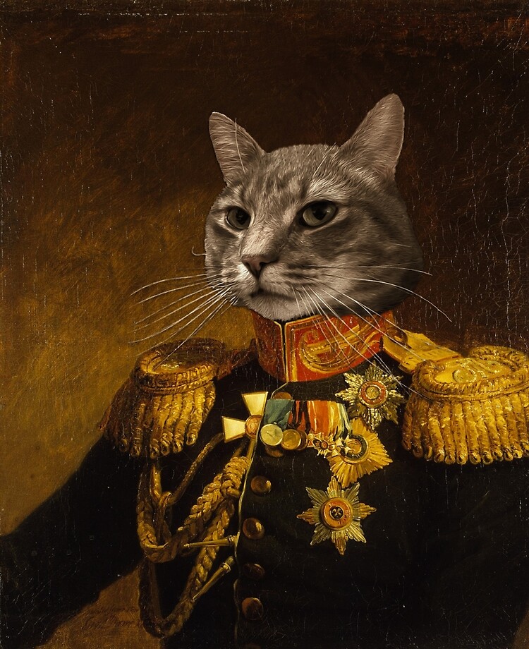 Michipedia: Tipos de michis