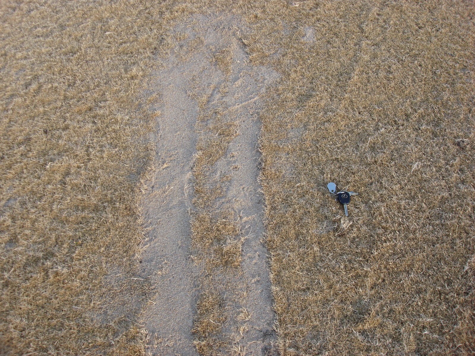 Grounds Department Blog: Driving range divots