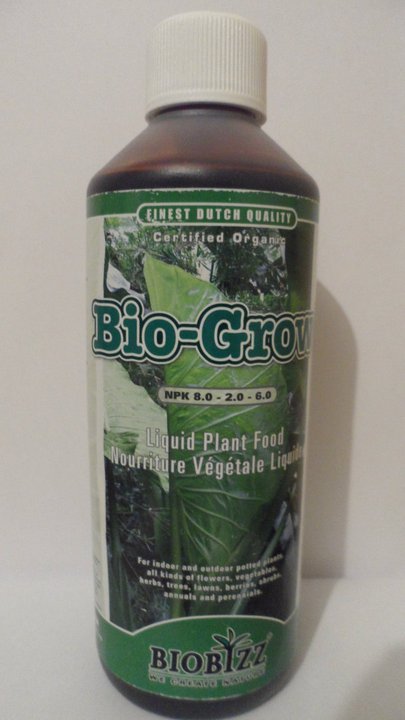 URBAN NATURA: CRECIMIENTO