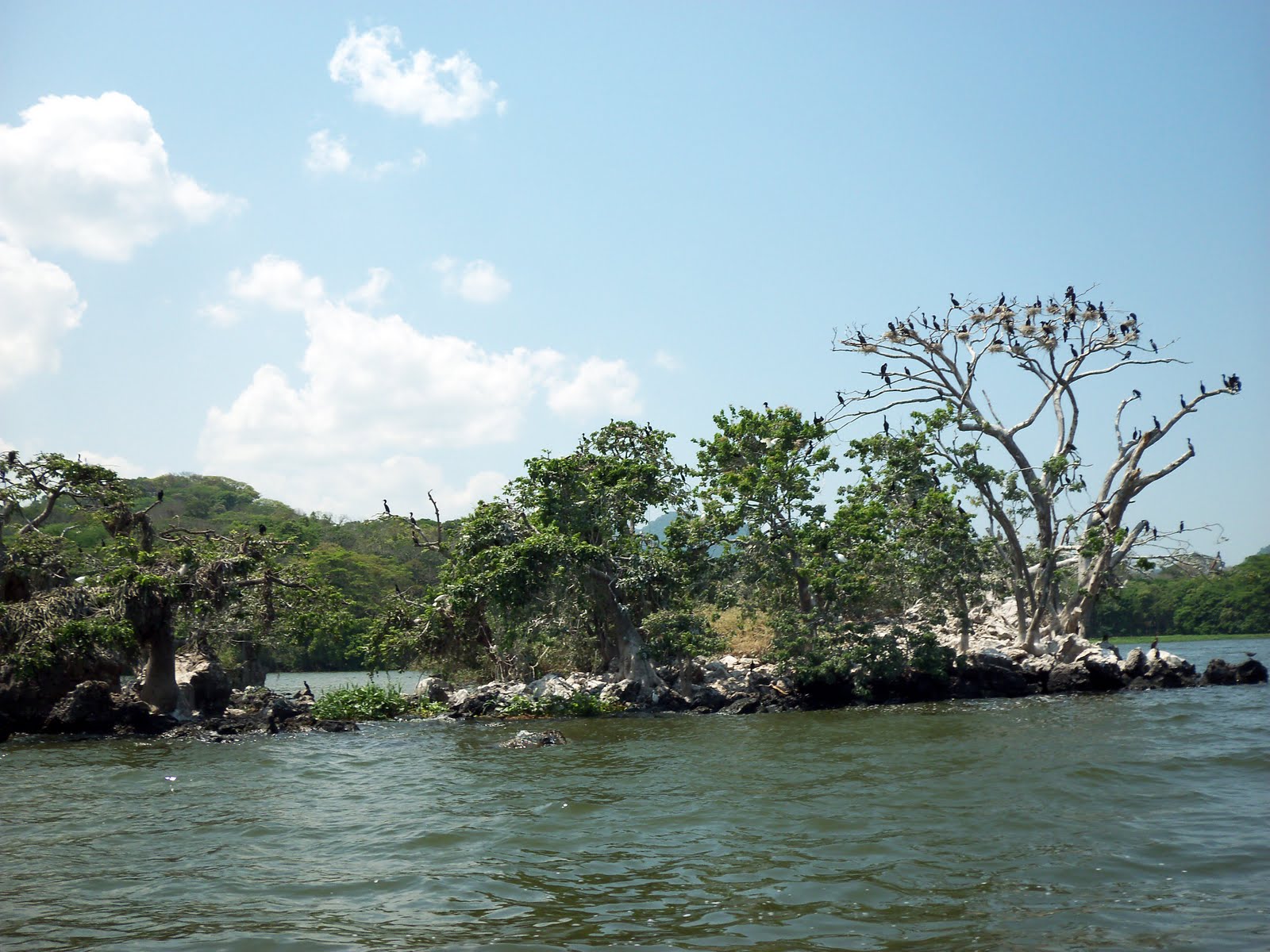 La Sierra Mágica de Los Tuxtlas.: La Isla de Las Garzas