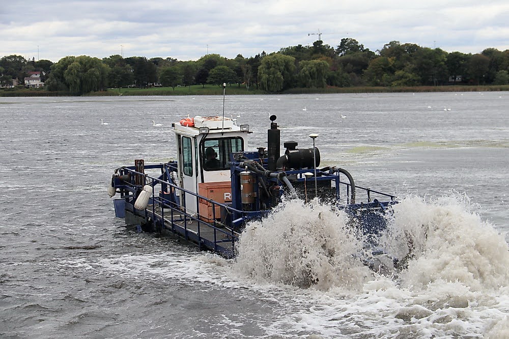 Eye Candy: Milfoil Weed Boat