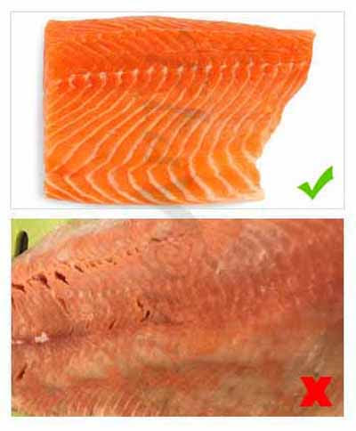 How to buy Fresh Fish -10 Tips to consider before selecting one | Get ...