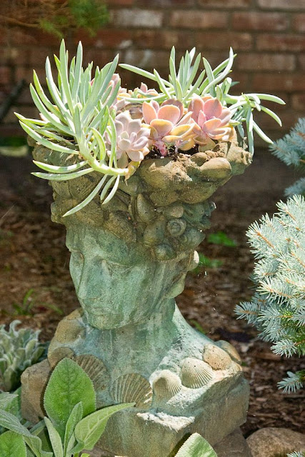 Bellart Atelier: Suculentas.