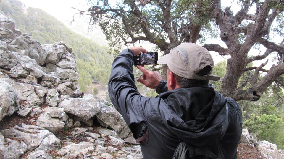 EXPLORE MOUNTAINS: ΣΤΟ ΚΥΠΑΡΙΣΣΟΔΑΣΟΣ ΚΡΙΤΣΑΣ ΓΙΑ ΤΗΝ ΠΑΓΚΟΣΜΙΑ ΗΜΕΡΑ ...