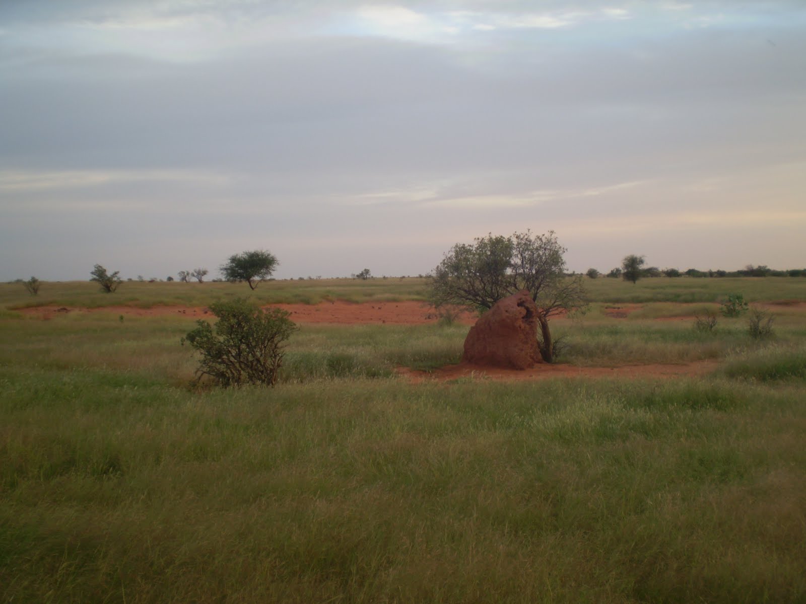 Monguel مونكل: مناظر طبيعية من مقاطعة مونكل