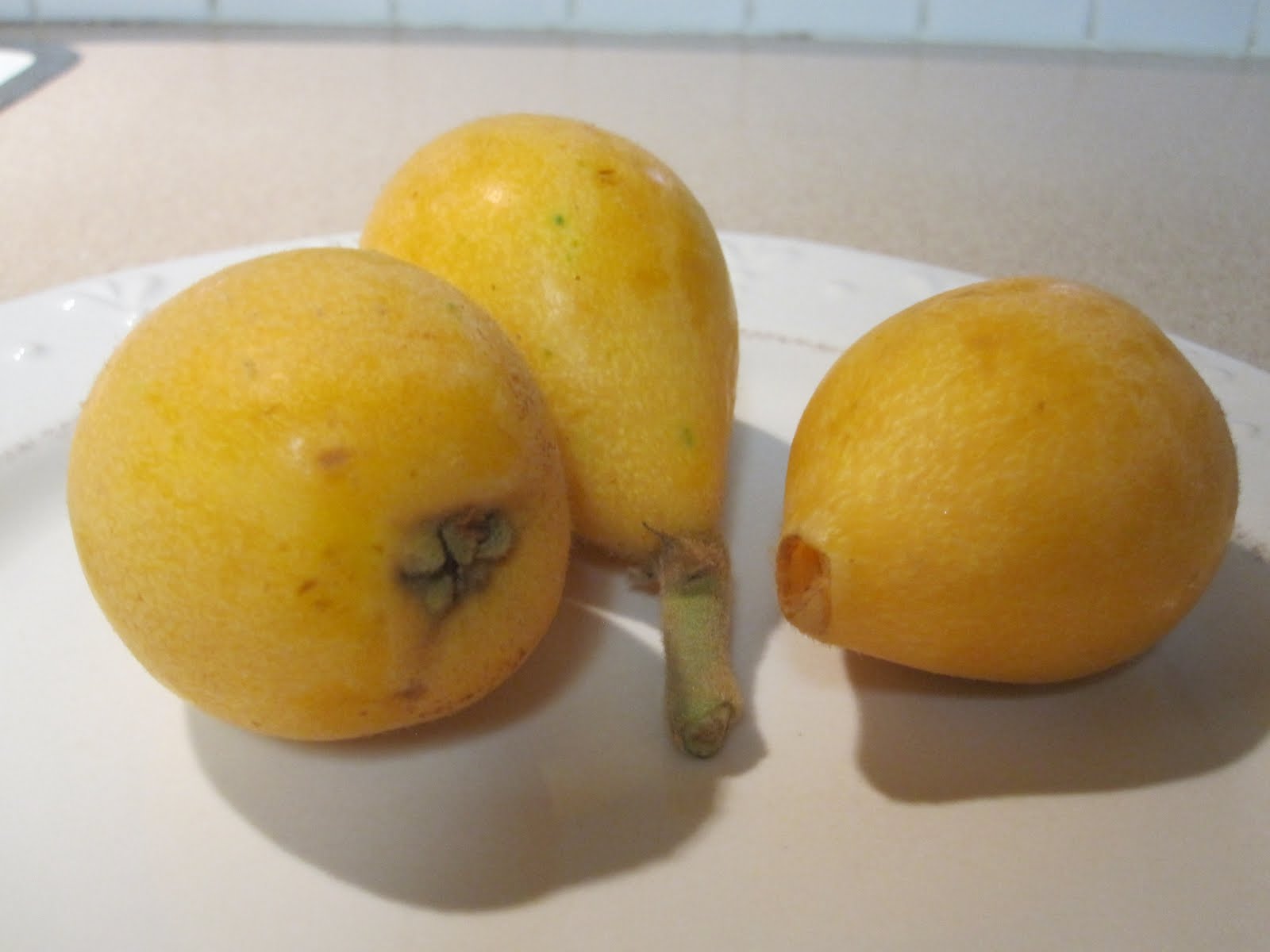 Cannundrums: Loquat