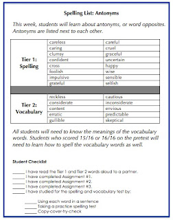 Emily's Enrichment Corner: Differentiated Spelling Program: Looking Back