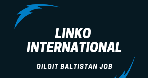 linko international