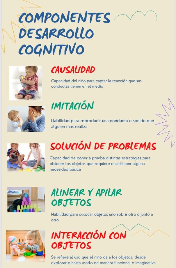 Componentes del Desarrollo Cognitivo