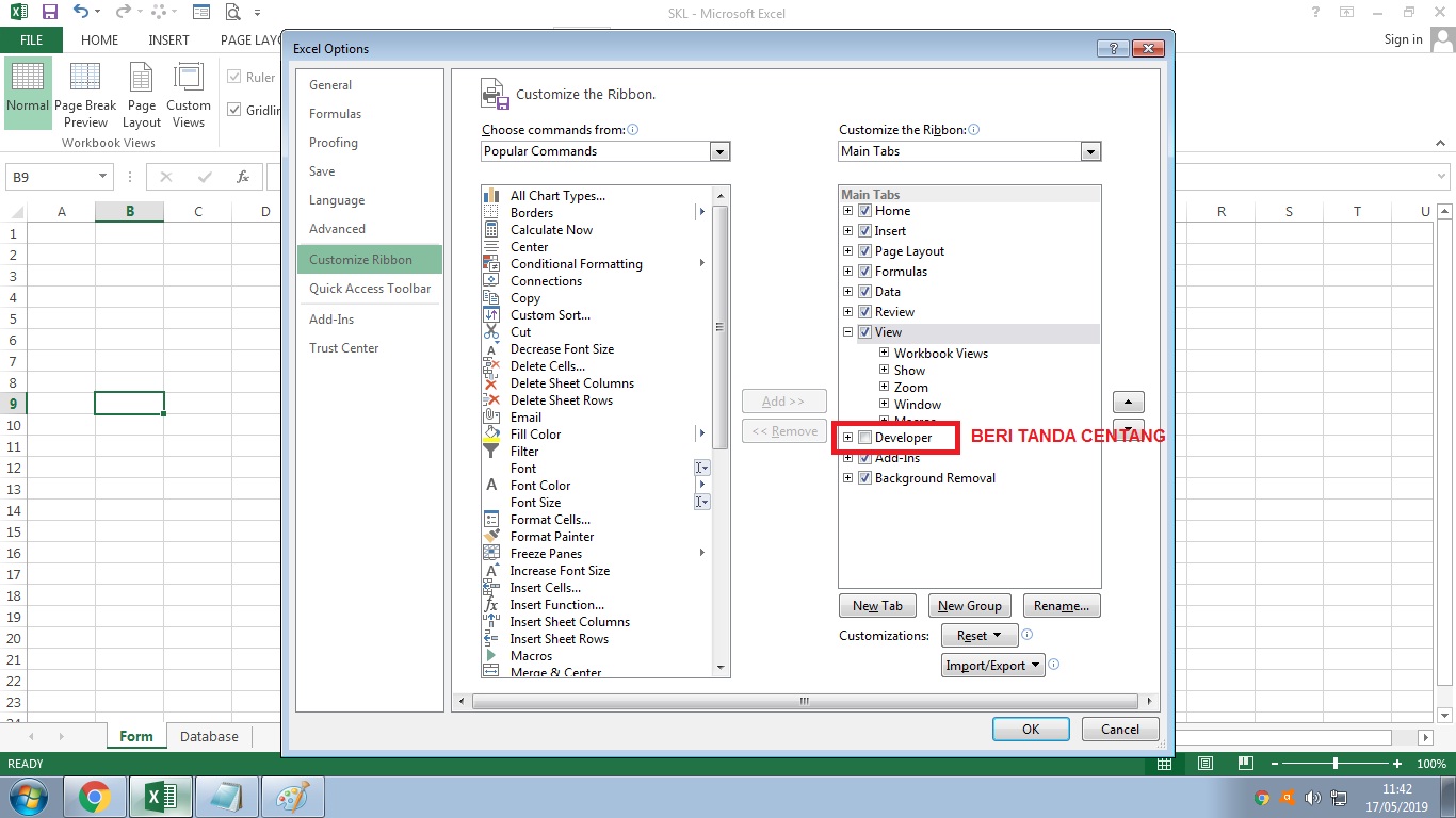 Cara Mengaktifkan Visual Basic pada Excel (Tab Developer) - Catatan Kecil