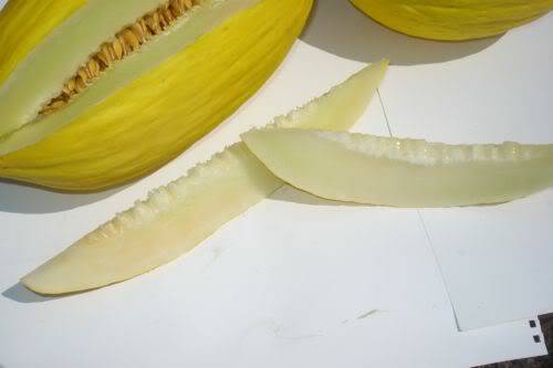 amicidellortodue: melone di Napoli