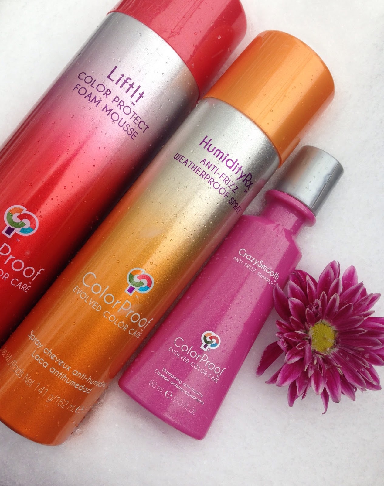 Health & Lifestyle Management : ColorProof Hair Care