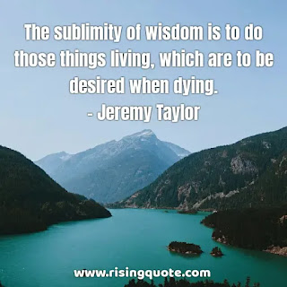 100 Best Wise Quotes | Short Wise Sayings (2021)