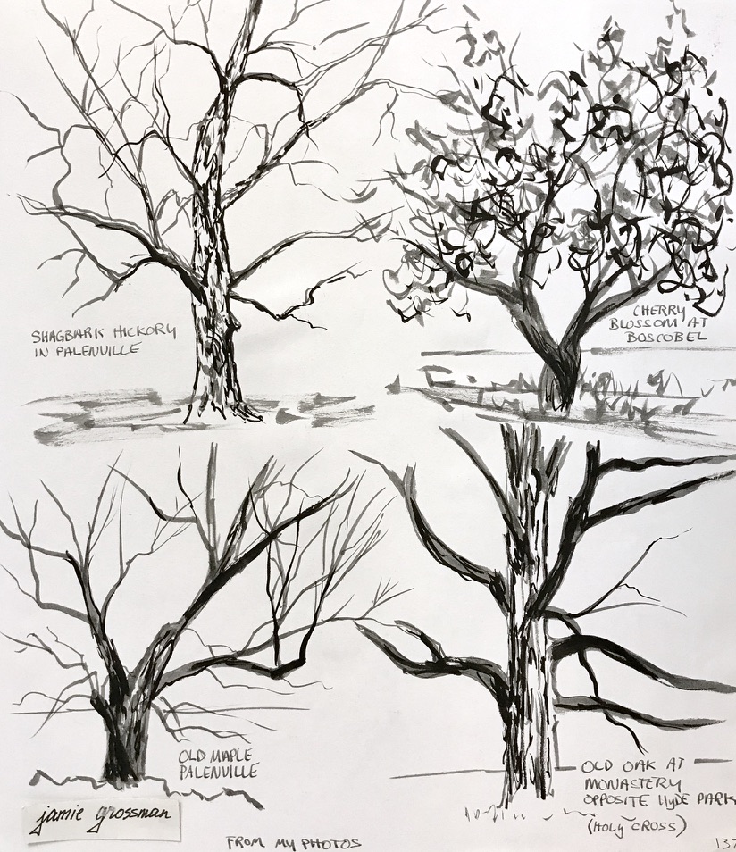 Hudson Valley Sketches - : Megasketch Monday -- Drawing Trees