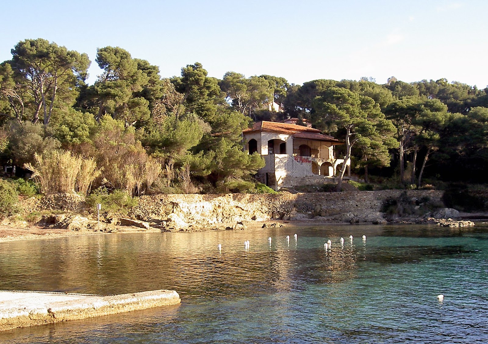 LE CORMORAN. : SCIENCES et TECHNIQUES.