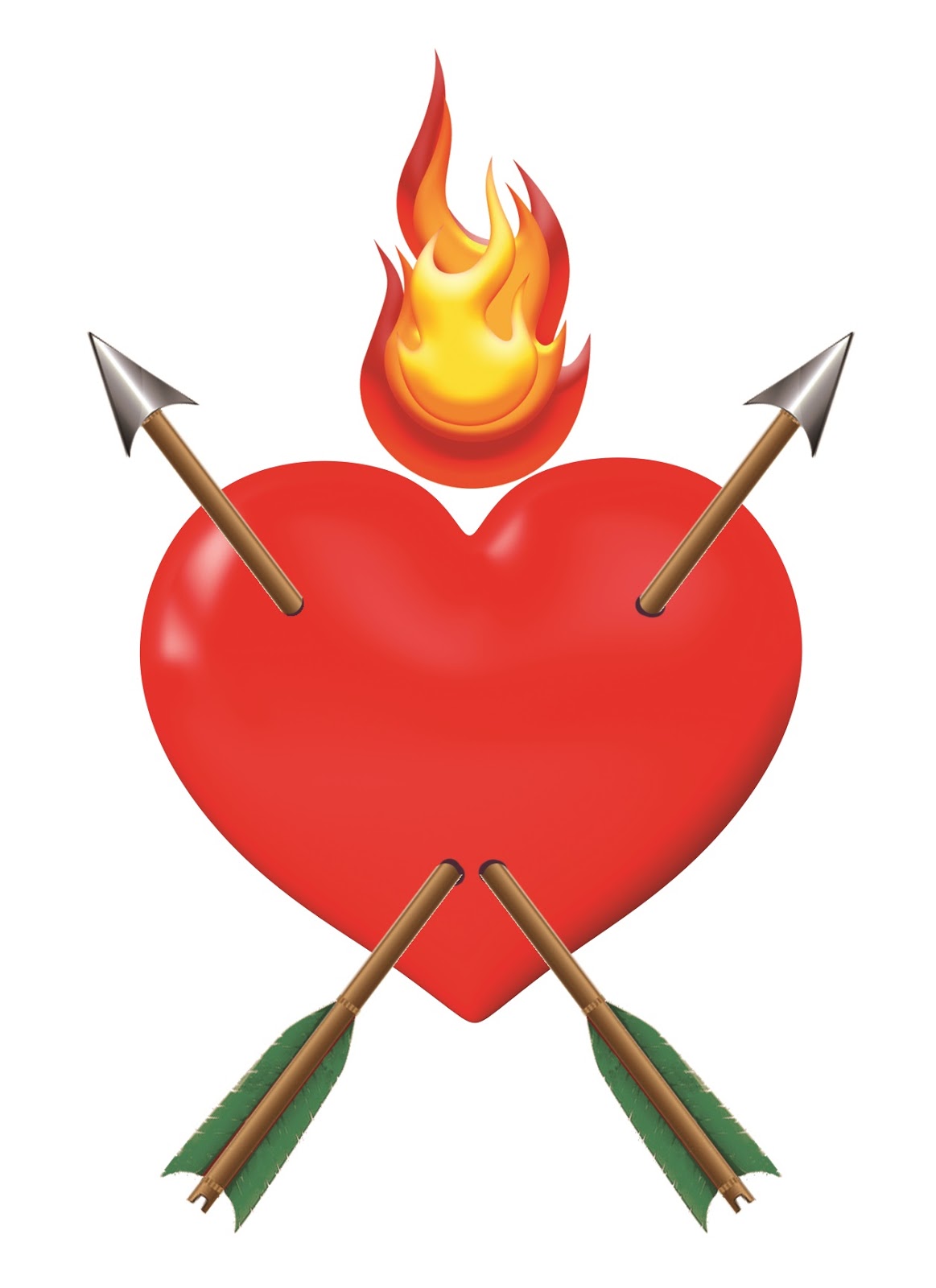 Servant and Steward: Homily - 14 February 2018 - Ash Wednesday