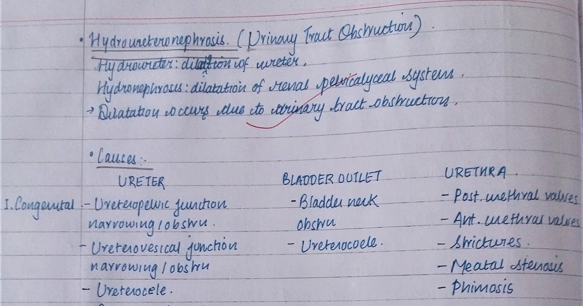 My notes: Its How I graduated Medical School.: 7 Tips to excel in ...