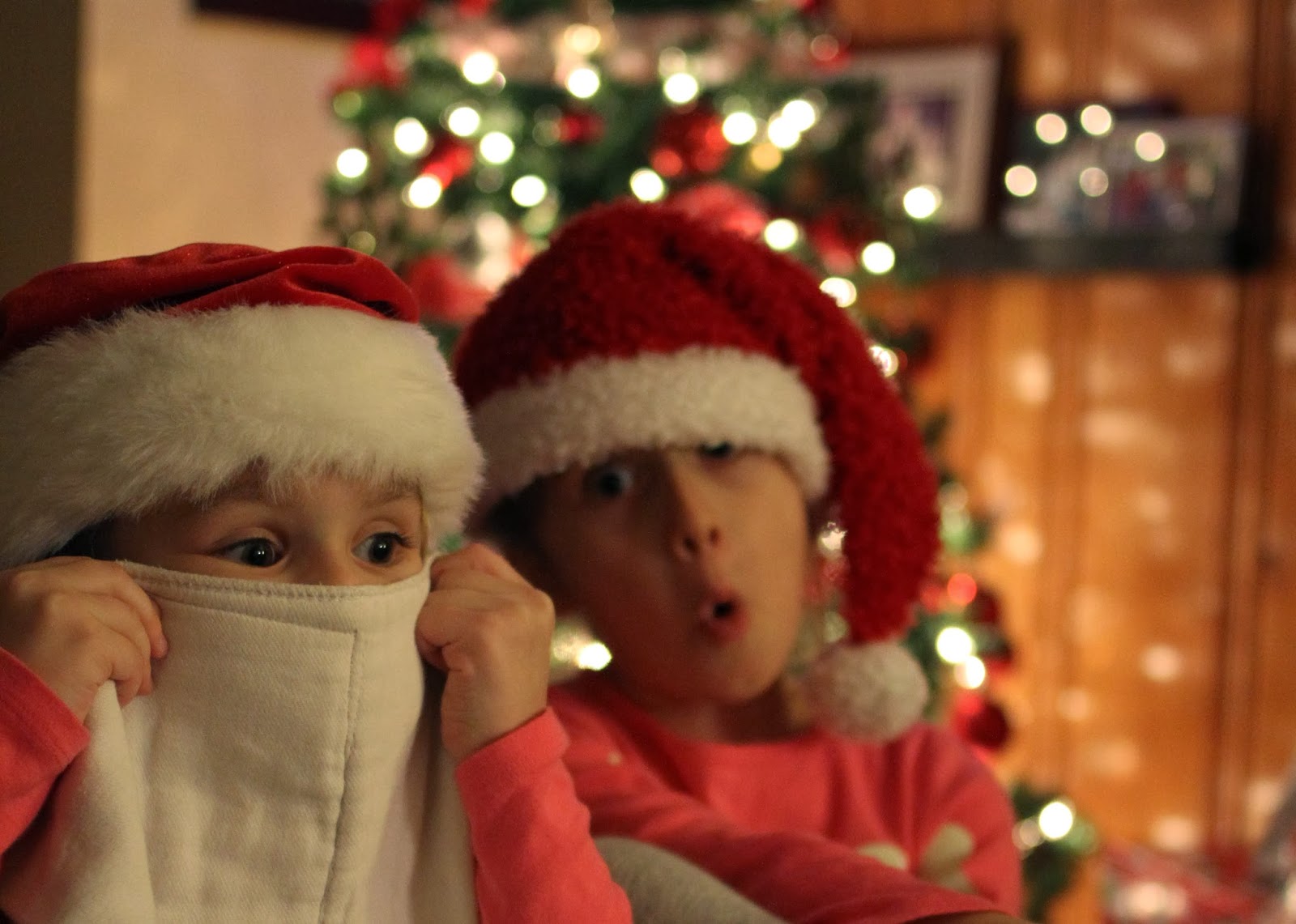 la famiglia: Silly Santa Hat Pictures!