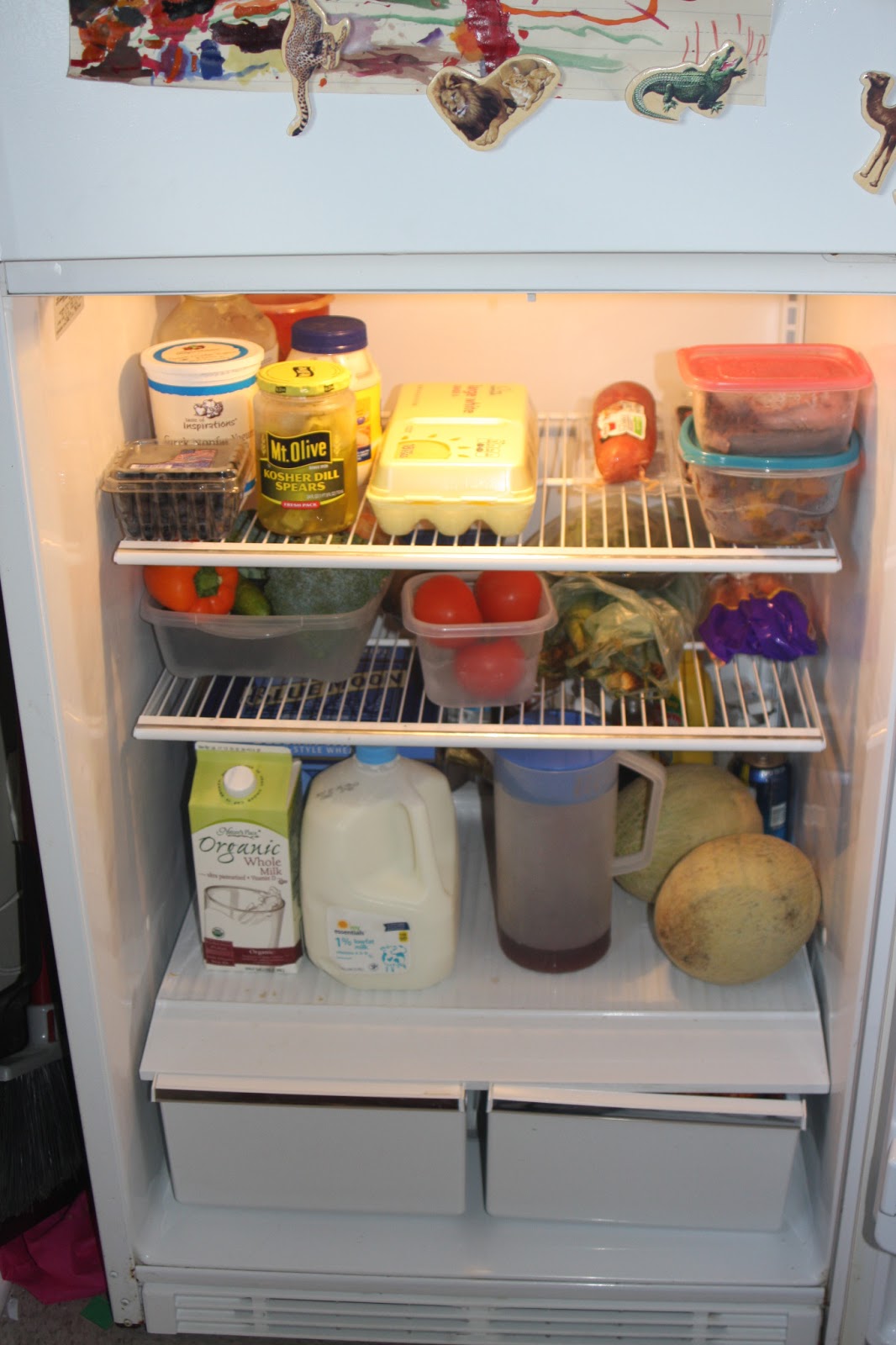 I DON'T HAVE A CLUE ... (BUT I'M FINDING OUT): Lesson 82: Inside My Fridge