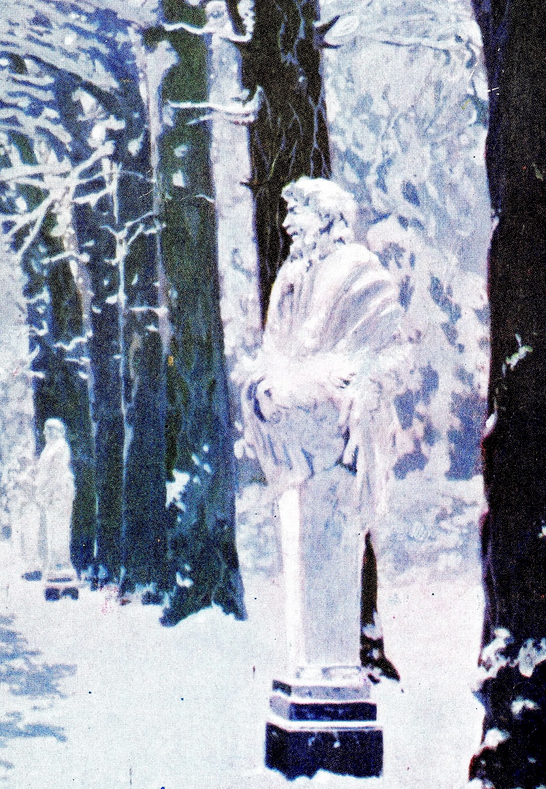 Montana Roué: The great white way