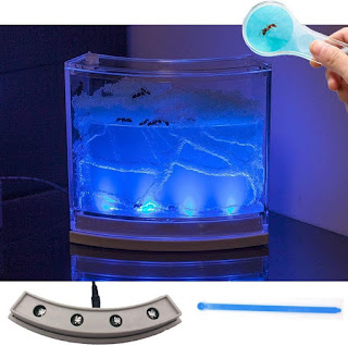 5 Best Ant Farms for Kids in 2020 - Science Experiments for Kids ...