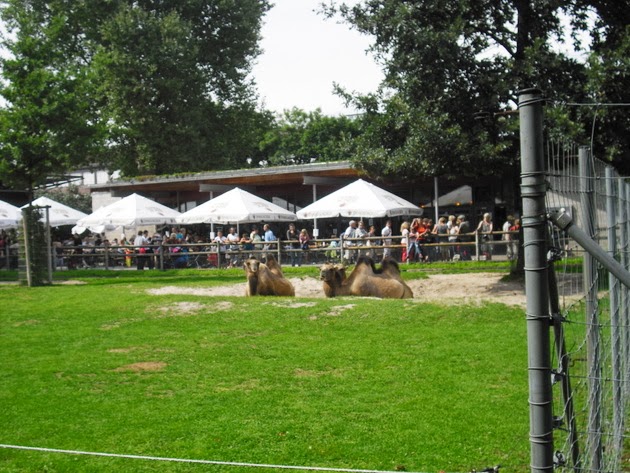 Wege in der Region Stuttgart: Zwischen Rosensteinpark und Wilhelma