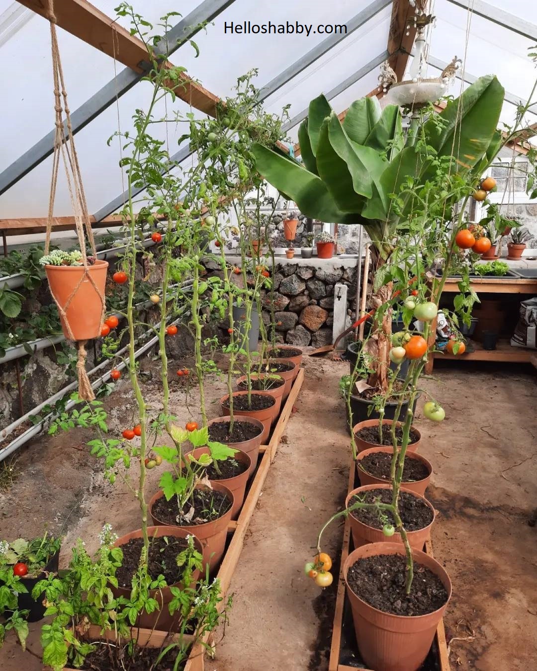 7 Creative Gardening Designs and Ideas to Create in 2021 ~ HelloShabby ...