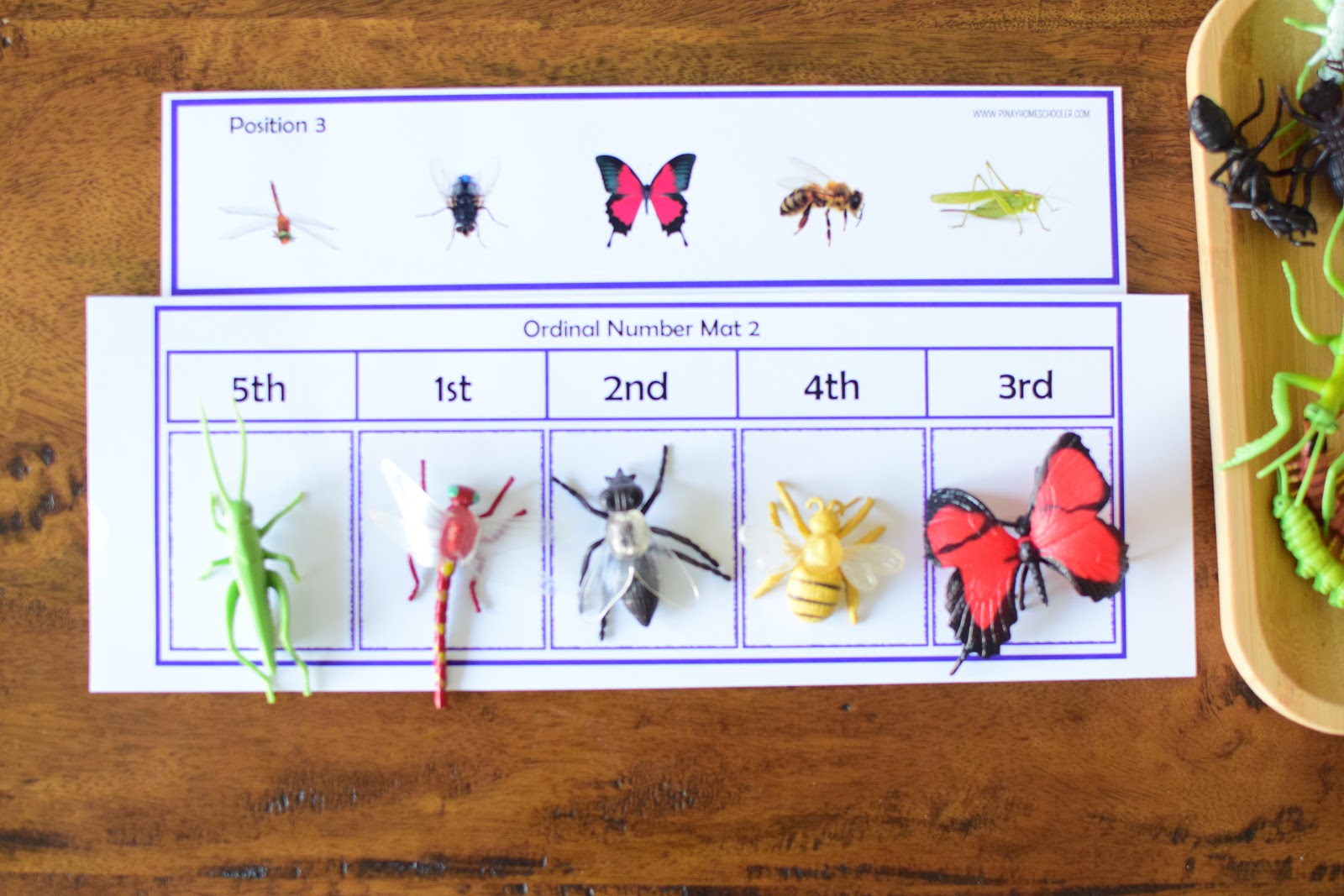 Insect Themed Lesson Plans for Kindergarten to First Grade | The Pinay ...