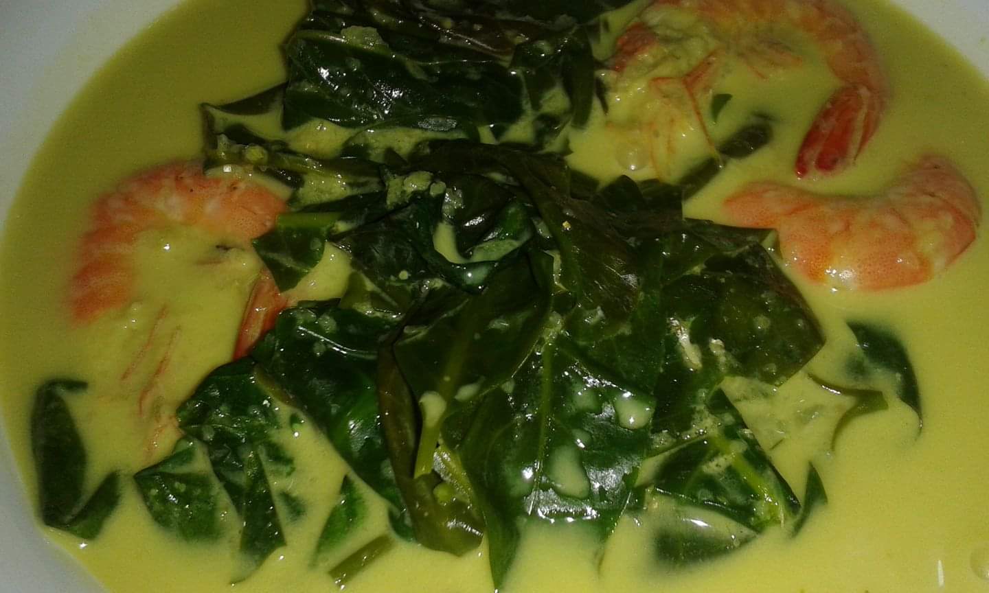 Puteh Dandelion: POKOK BELINJAU @ MELINJAU - GNETUM GNEMON