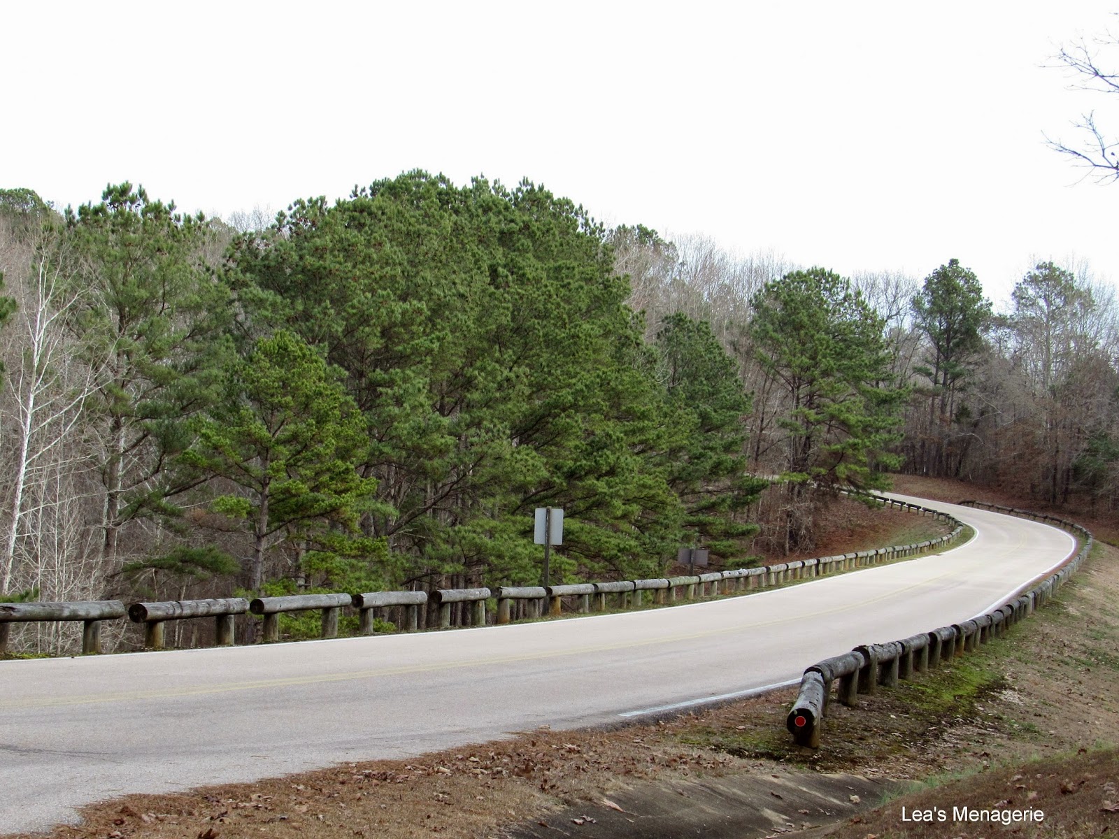 Lea's Menagerie: Bay Springs Lock and Dam, January 22-23, 2015