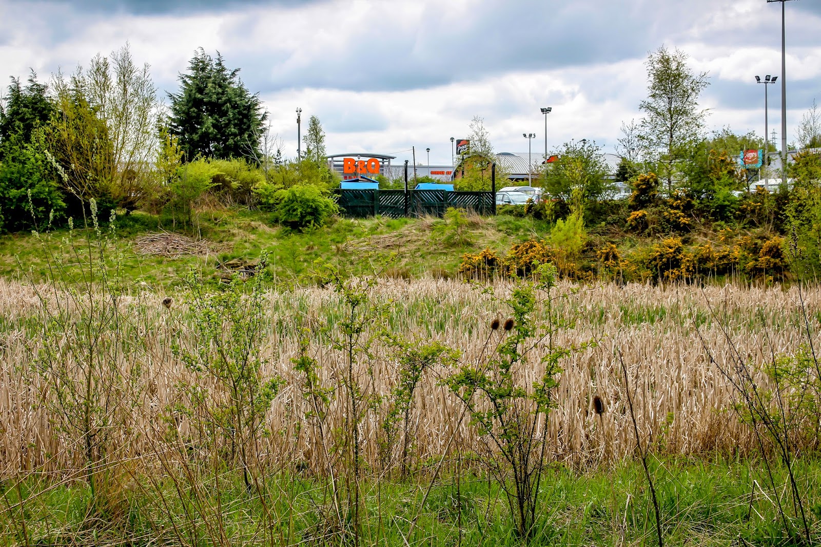 pointless walks to dismal places: Manvers Main Colliery to Cortonwood ...