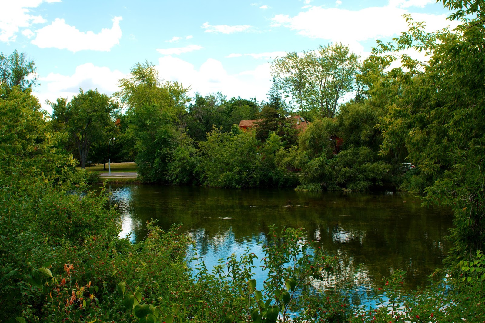 The Brown Knowser: Brown's Inlet