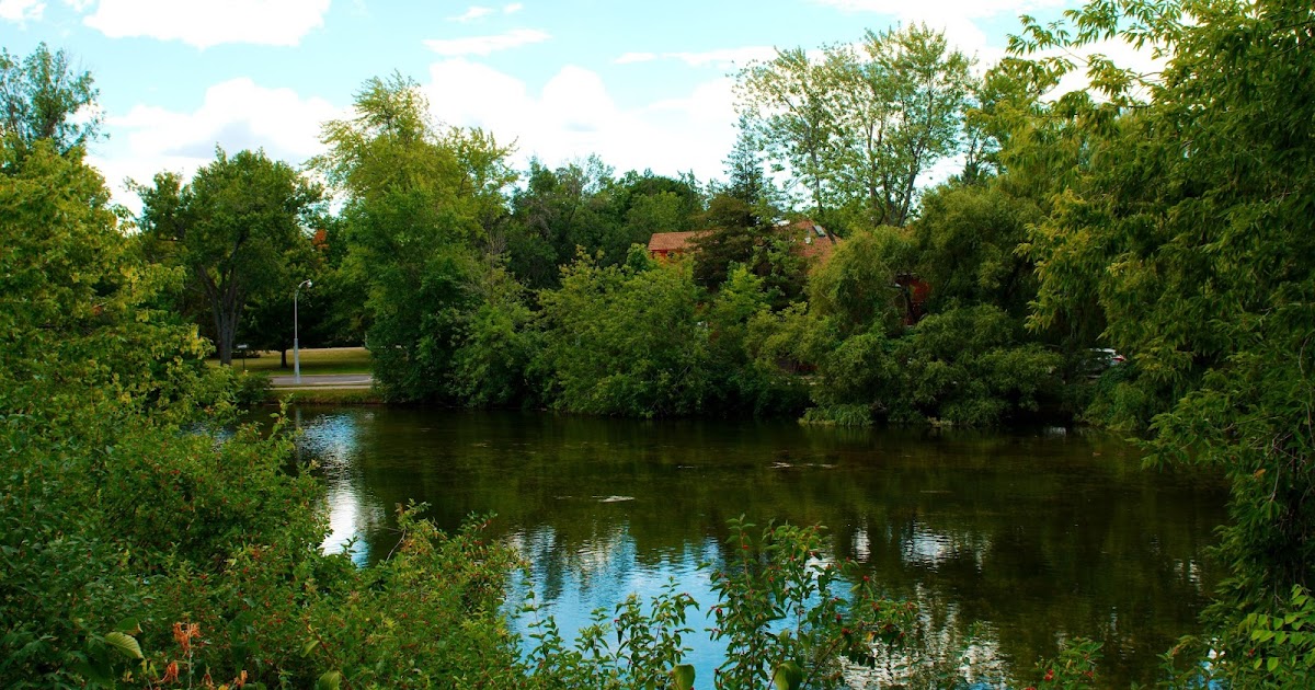 The Brown Knowser: Brown's Inlet