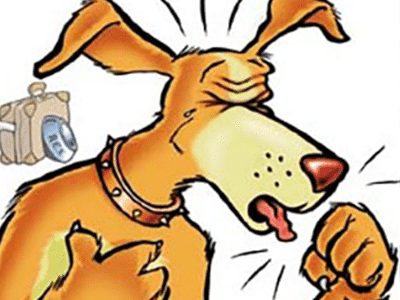 Veterinaria para propietarios: TOS DE LAS PERRERAS: ¿DE QUE SE TRATA ...