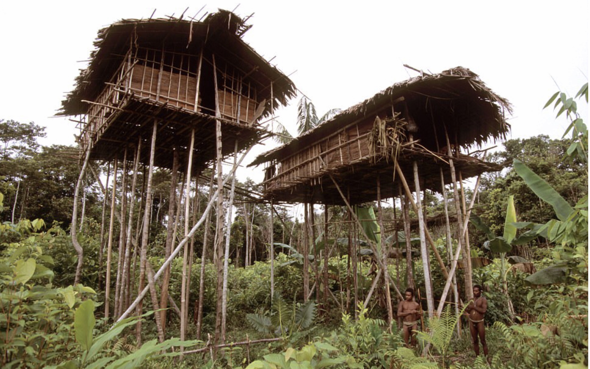 The three tribes in Indonesia are still living in a tree house! - OenroB RC