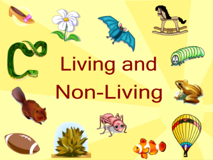 Information: Differences between living and non-living Organisms