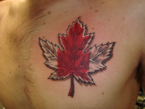 Celtic Maple Leaf Tattoo | Best Art Designs