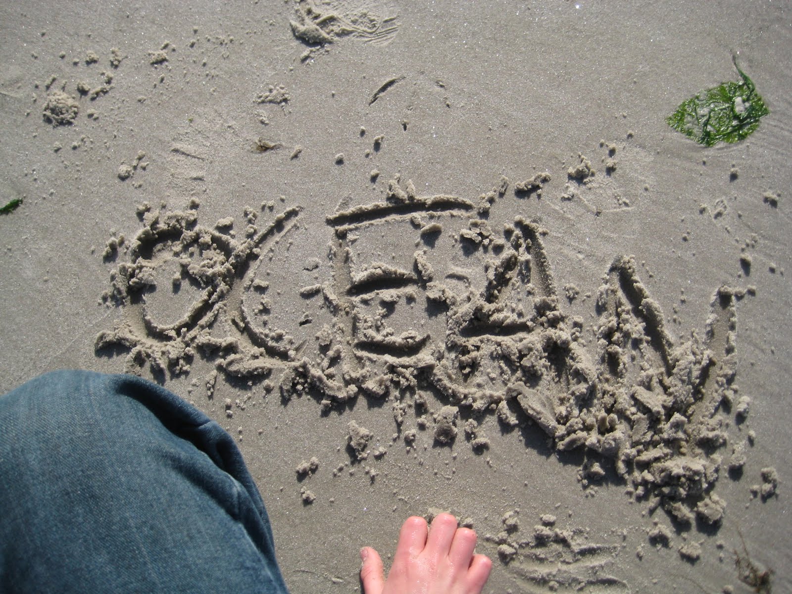 Read About Nick: Nickerson Beach