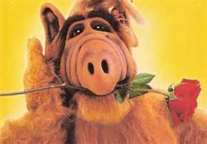 Nixon Insurance: How Alf Would Do Valentine's Day