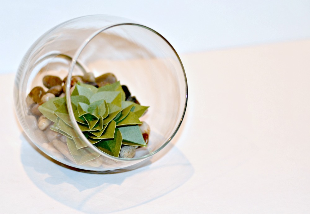 Paper Succulent Terrarium for the Black Thumb