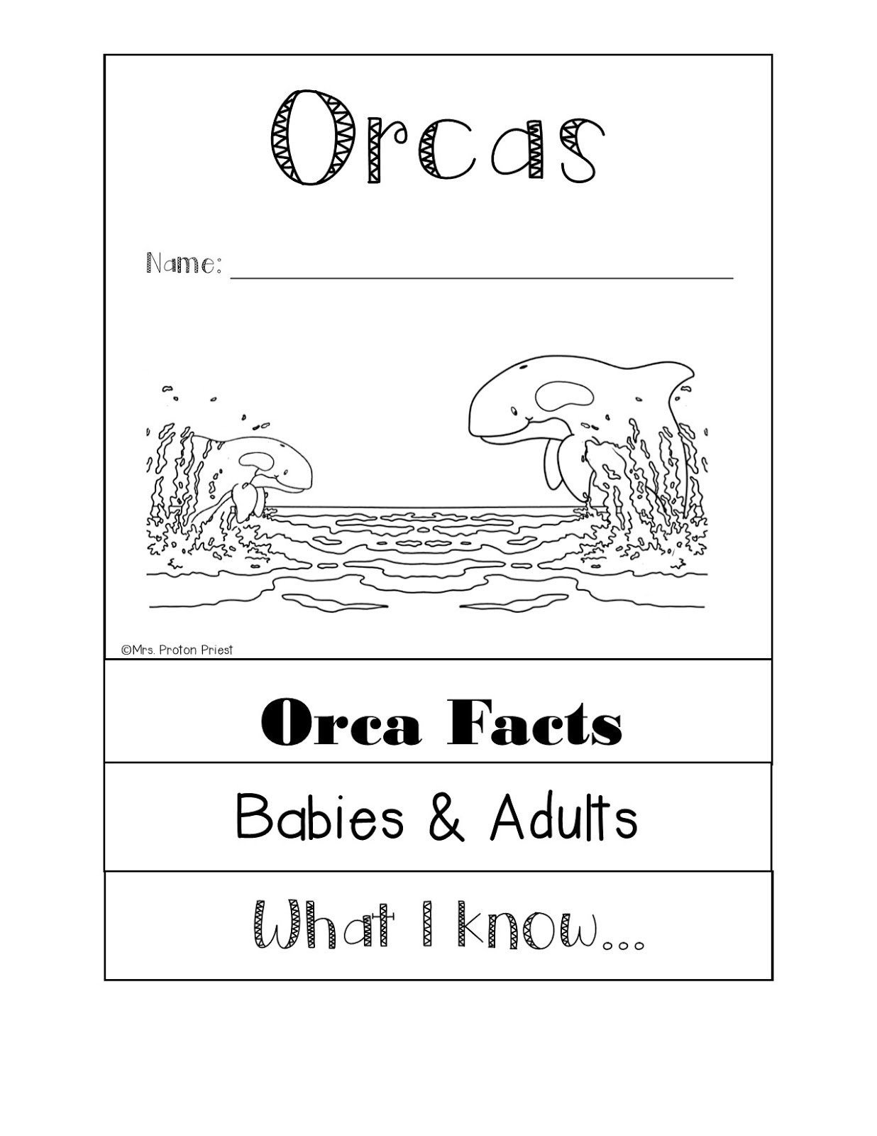 Orca Flip Book NGSS 1-LS3-1 | Polka Dots and Protons - Interactive ...