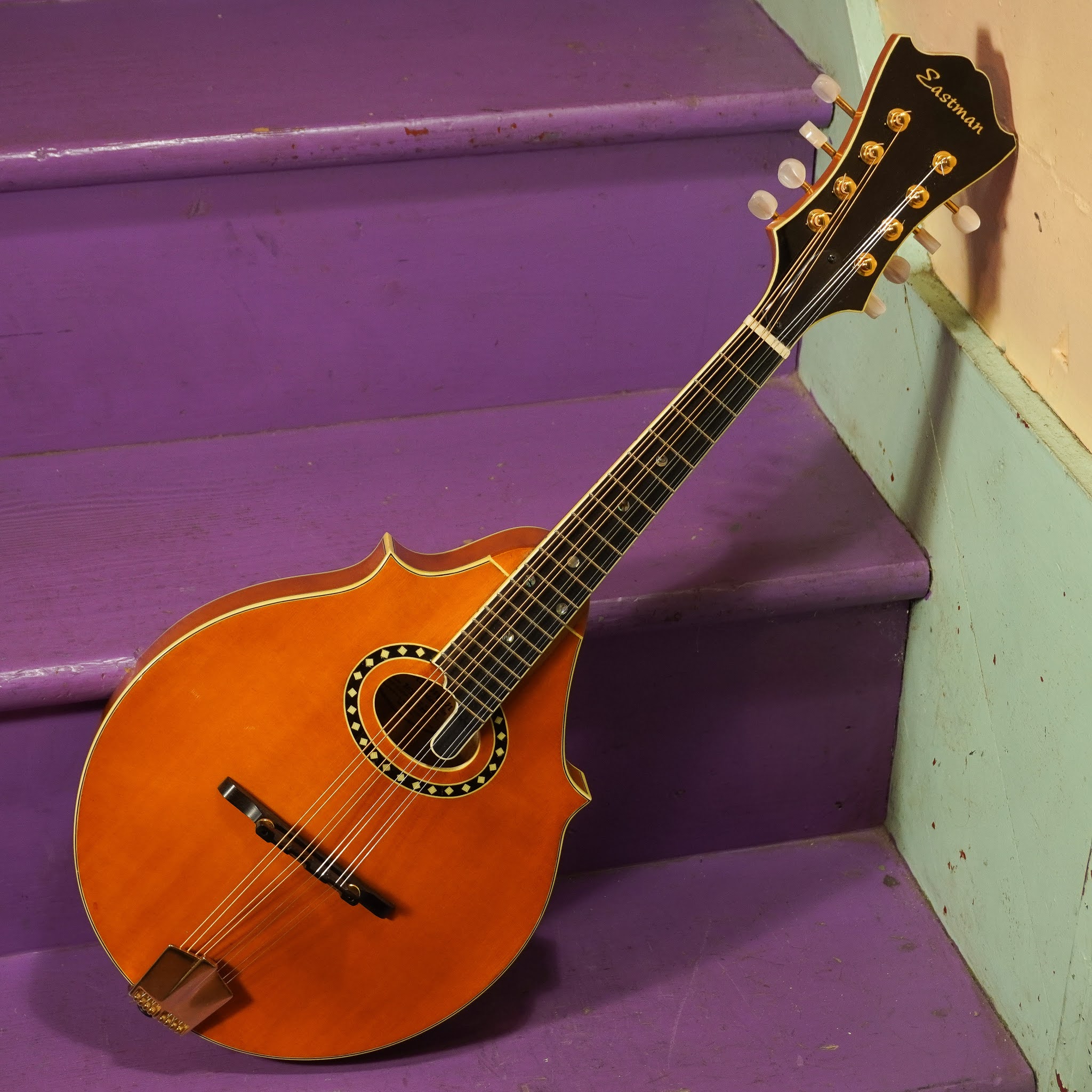 2008 Eastman 804D 2-Point Archtop Mandolin