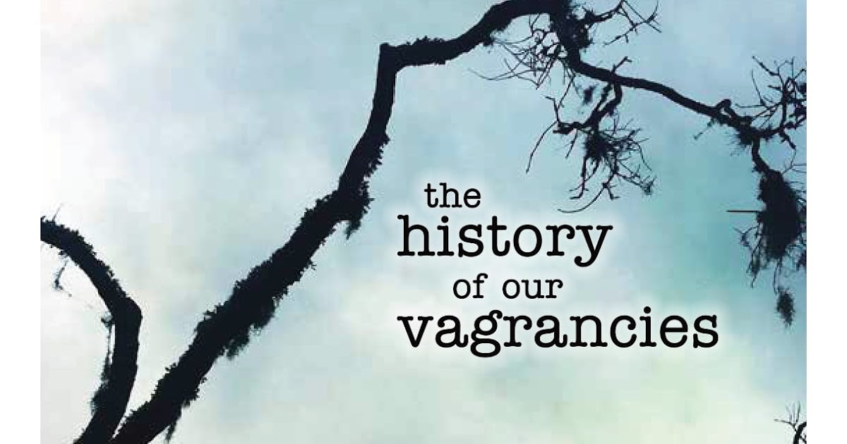 JASON IRWIN: pre-order The History of Our Vagrancies