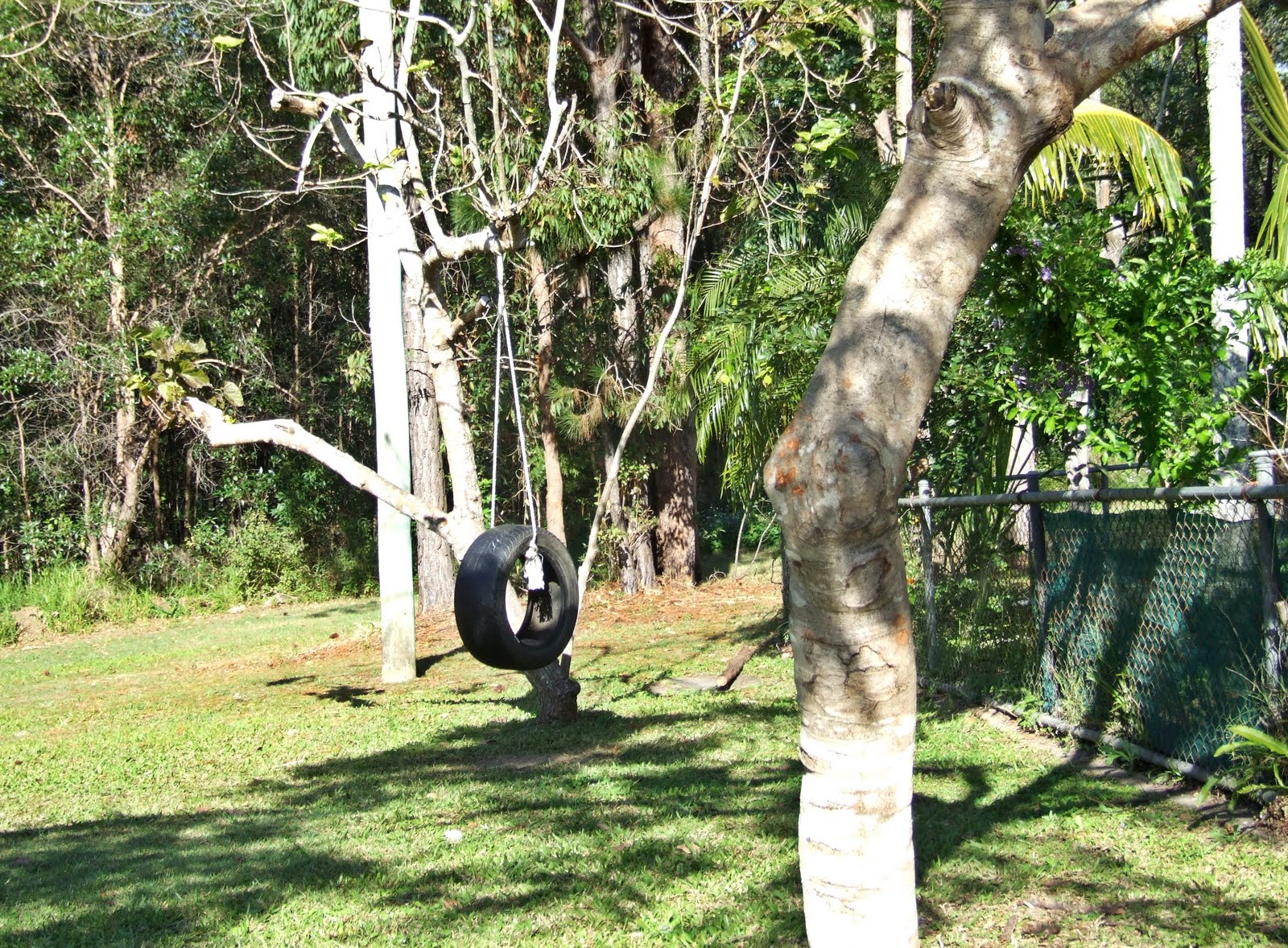 Naturally Carol: Tyre Swing...