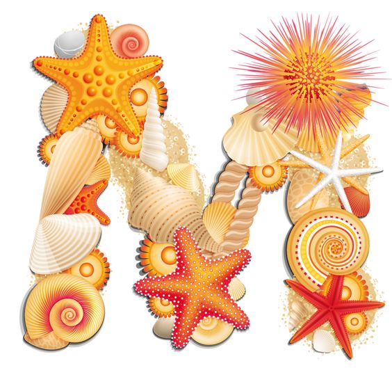 Escuela infantil castillo de Blanca: ALFABETO CON CONCHAS