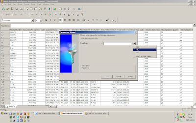 Oracle Uygulamaları: Oracle Discoverer Desktop - Örnekler