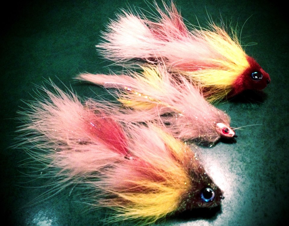 Anglers Choice Flies News Feed: Bar Flies 2013