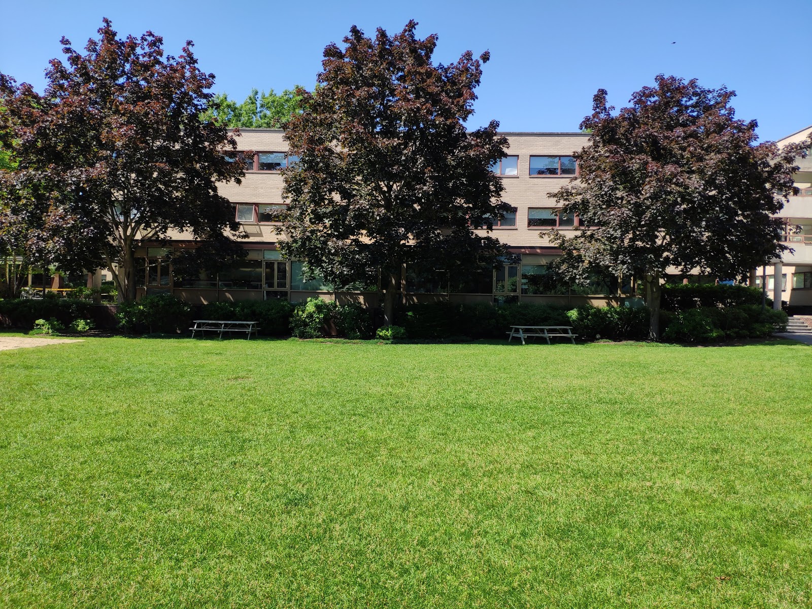 EntreVoir: Harvard Graduate Center - Walter Gropius