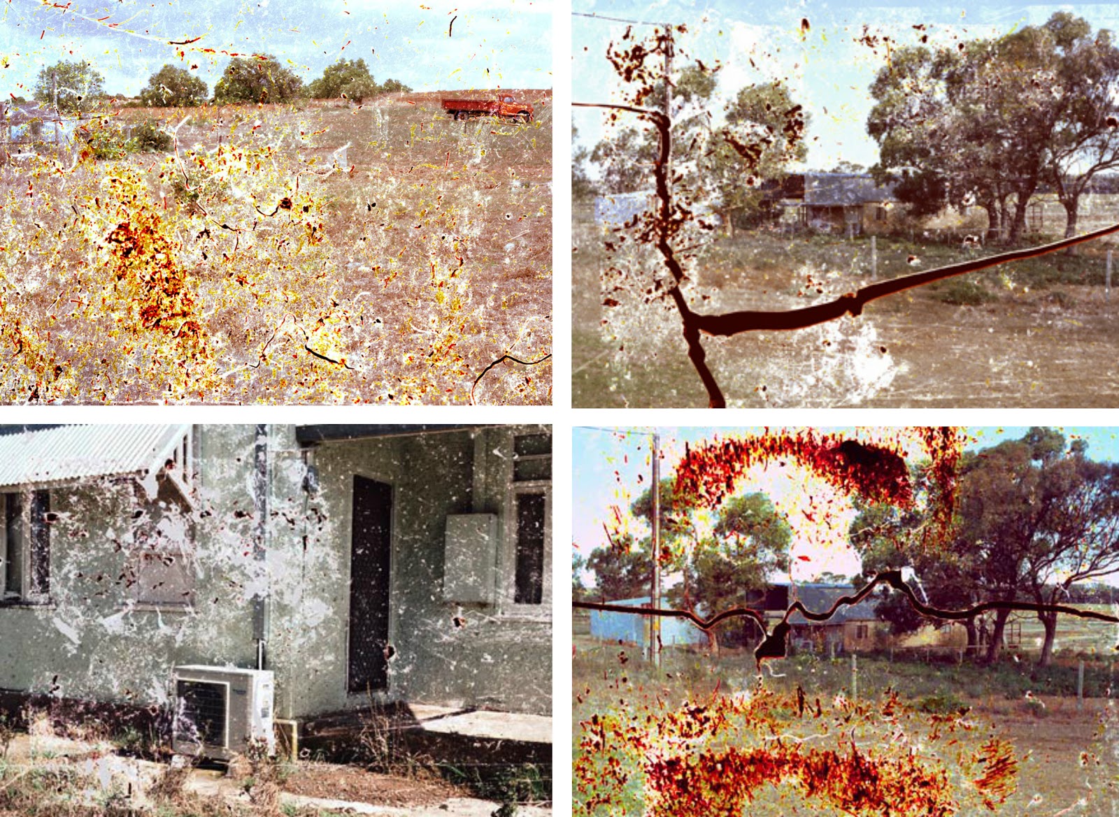 Emily's Photography Blog: Odette England // Damaging A Film Negative ...